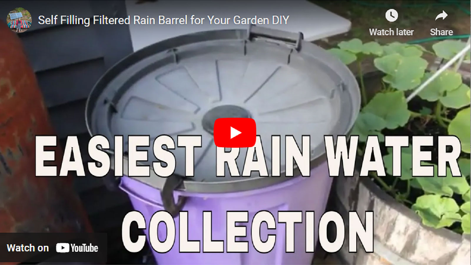 Easiest Rainwater Collection – Palisades Neighborhood Association