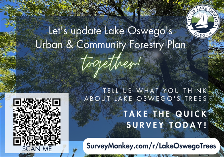 Online Public Tree Survey Open until August 20, 2023 – Palisades Neighborhood Association