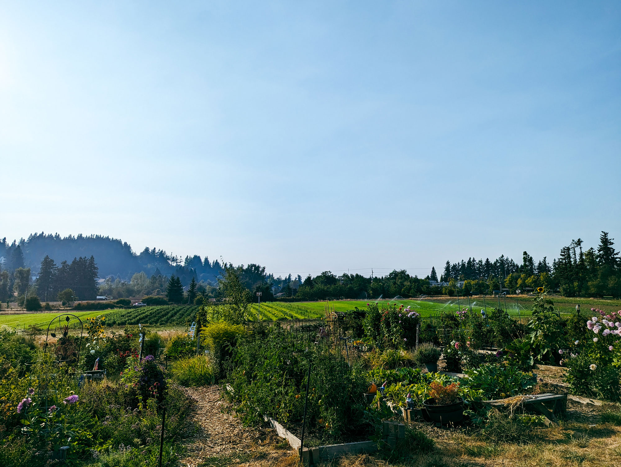 Palisades Neighborhood Association