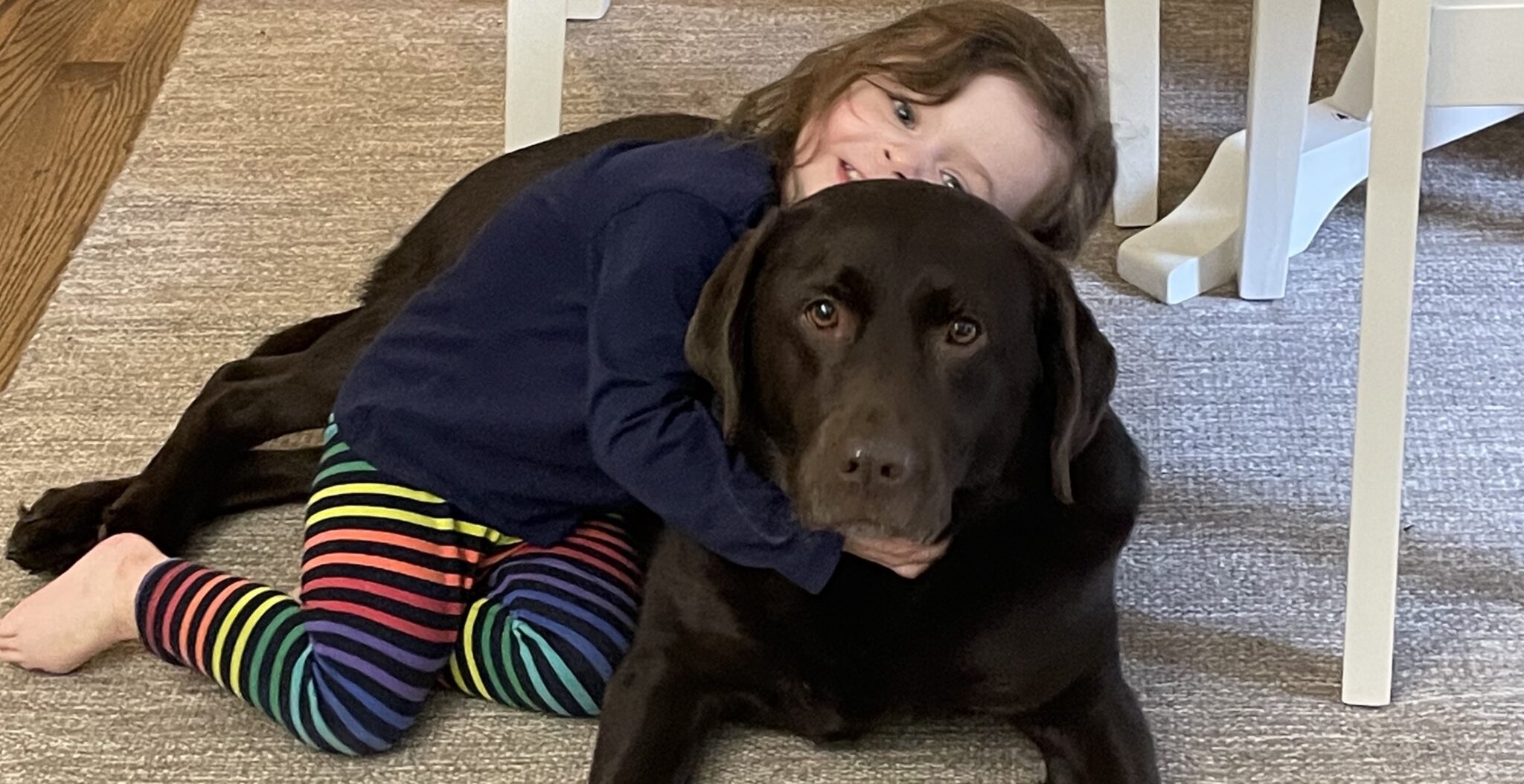 August Pet of the Month – Meet Charlie! 🐾 – Palisades Neighborhood ...