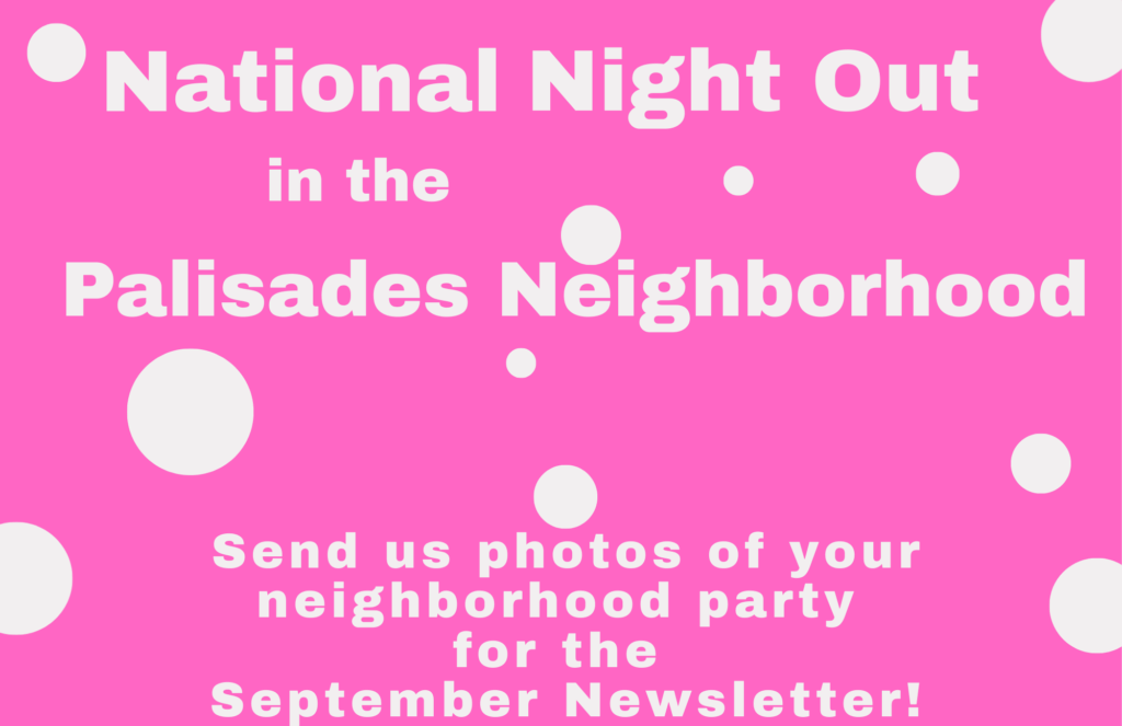 📸 National Night Out Neighborhood Party Photos Needed – Palisades ...