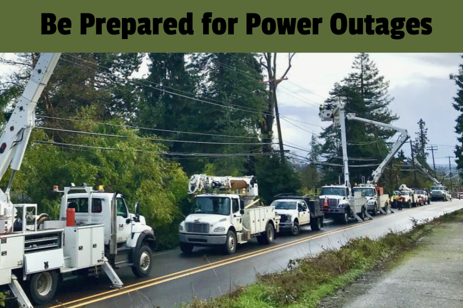 Power Outages: Steps to Stay Safe and Informed – Palisades Neighborhood ...